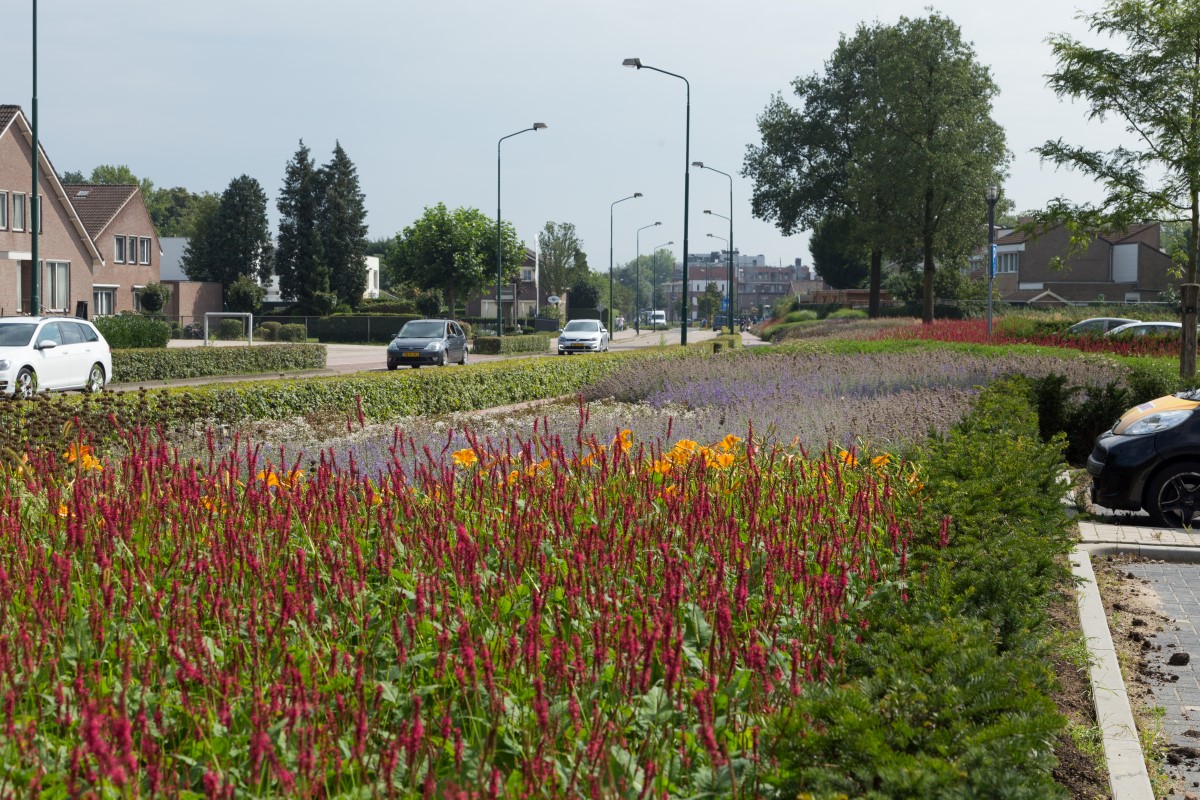 GreentoColour – Vasteplanten in het openbaar groen