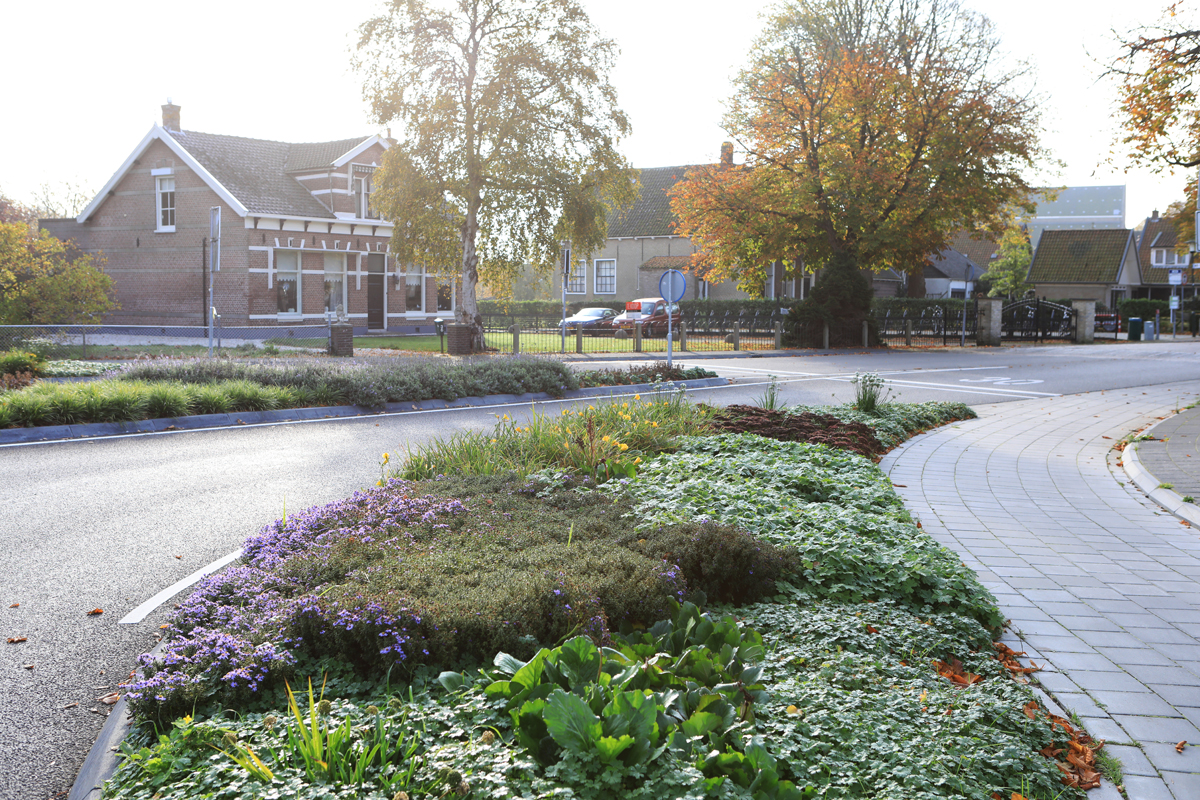 GreentoColour – Vasteplanten in het openbaar groen