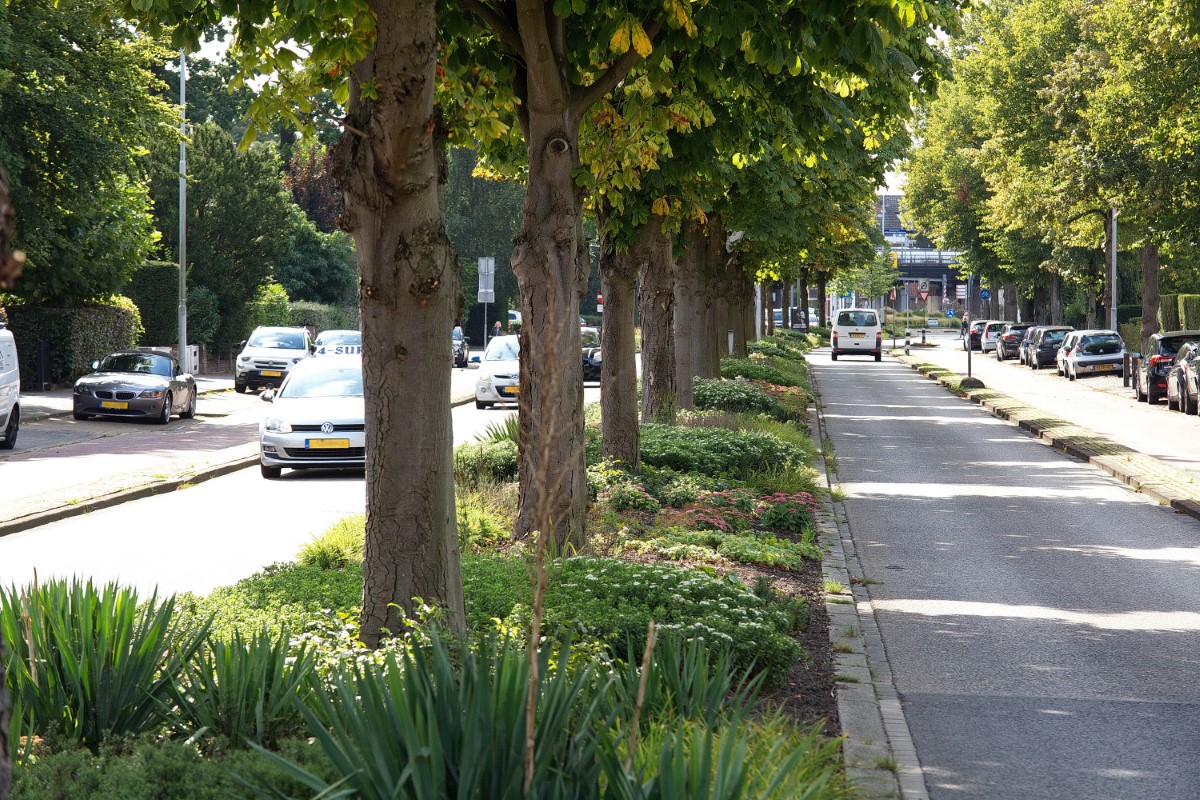 Home - GreentoColour